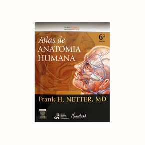 Netter: Atlas de Anatomia Humana Ed. 6 USADO